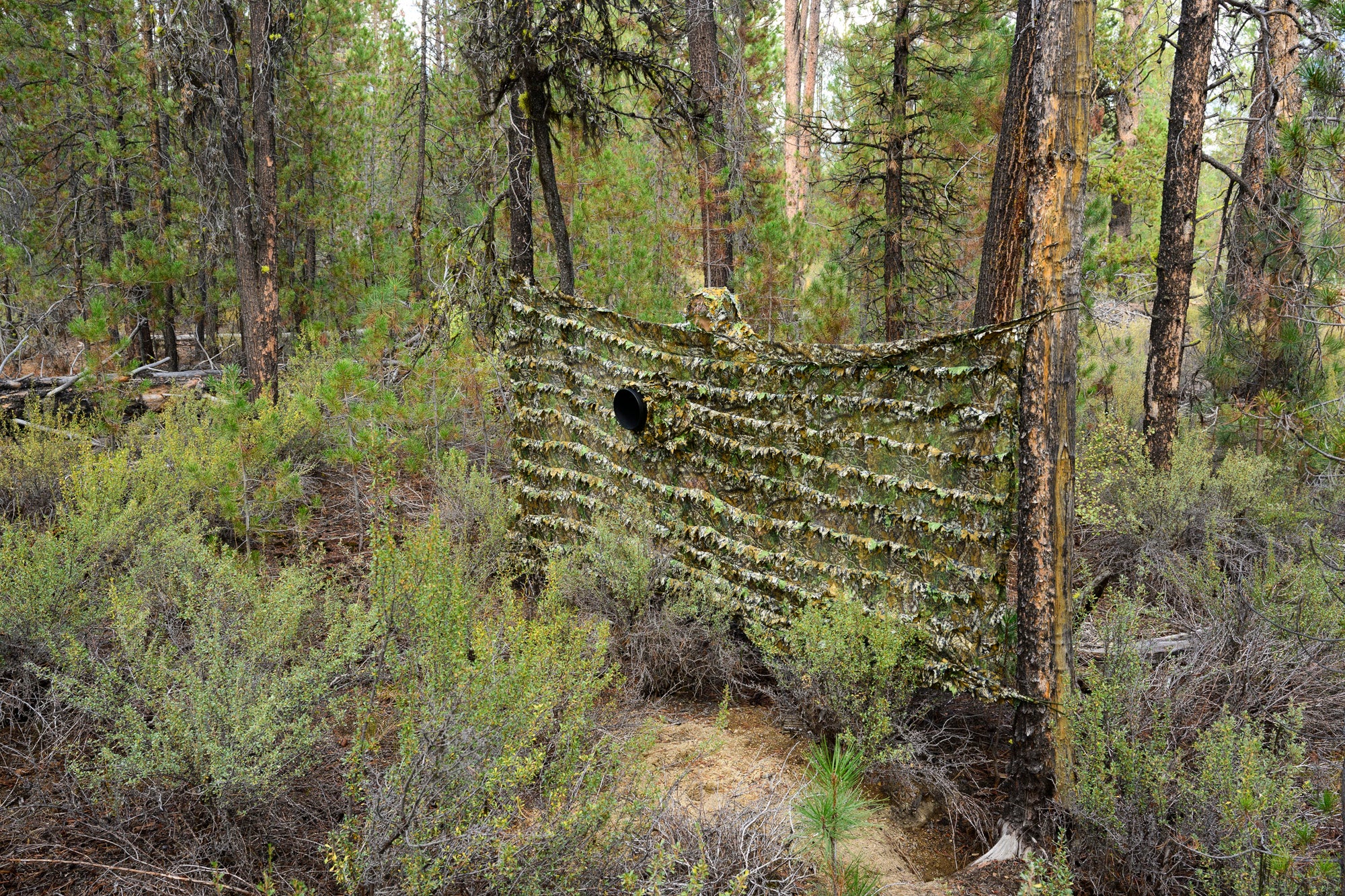 Camo Nets – Tragopan
